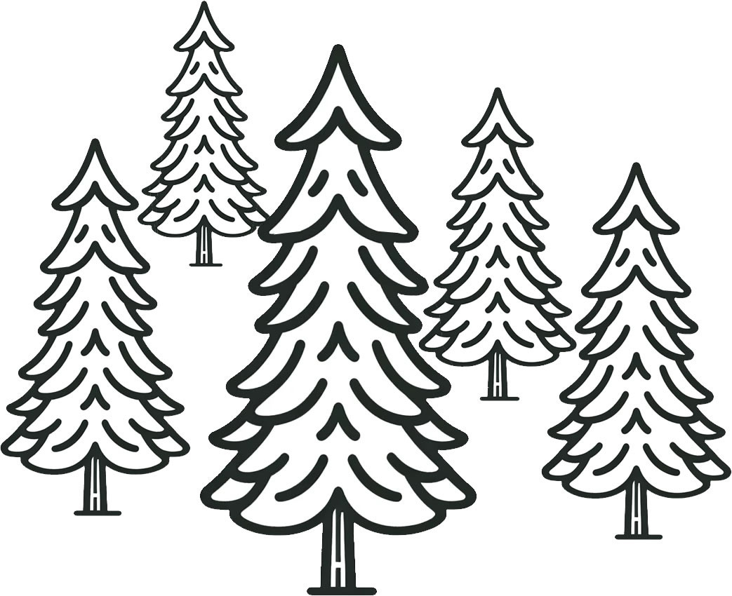 Spruce Tree Coloring Pages - Free PDF Printables