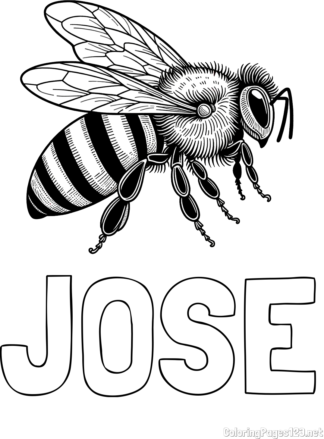 JOSE Coloring Page and Coloring Book of a Realistic Bee