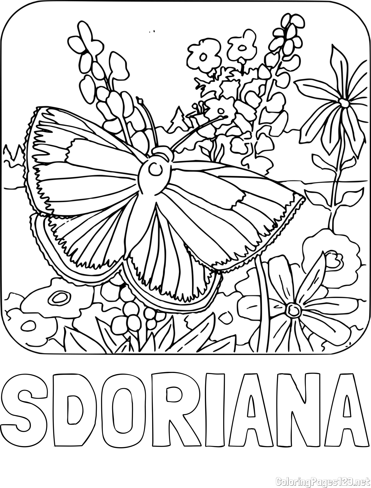 SDORIANA Coloring Page and Butterfly on Flower Coloring Page