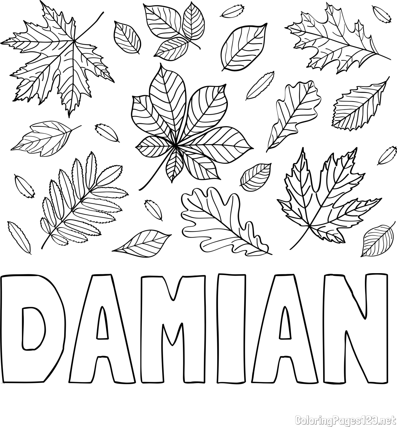 DAMIAN Coloring Page and Autumn Leaves Coloring Page