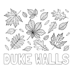 DUKE WALLS Coloring Page and Autumn Leaves Coloring Page