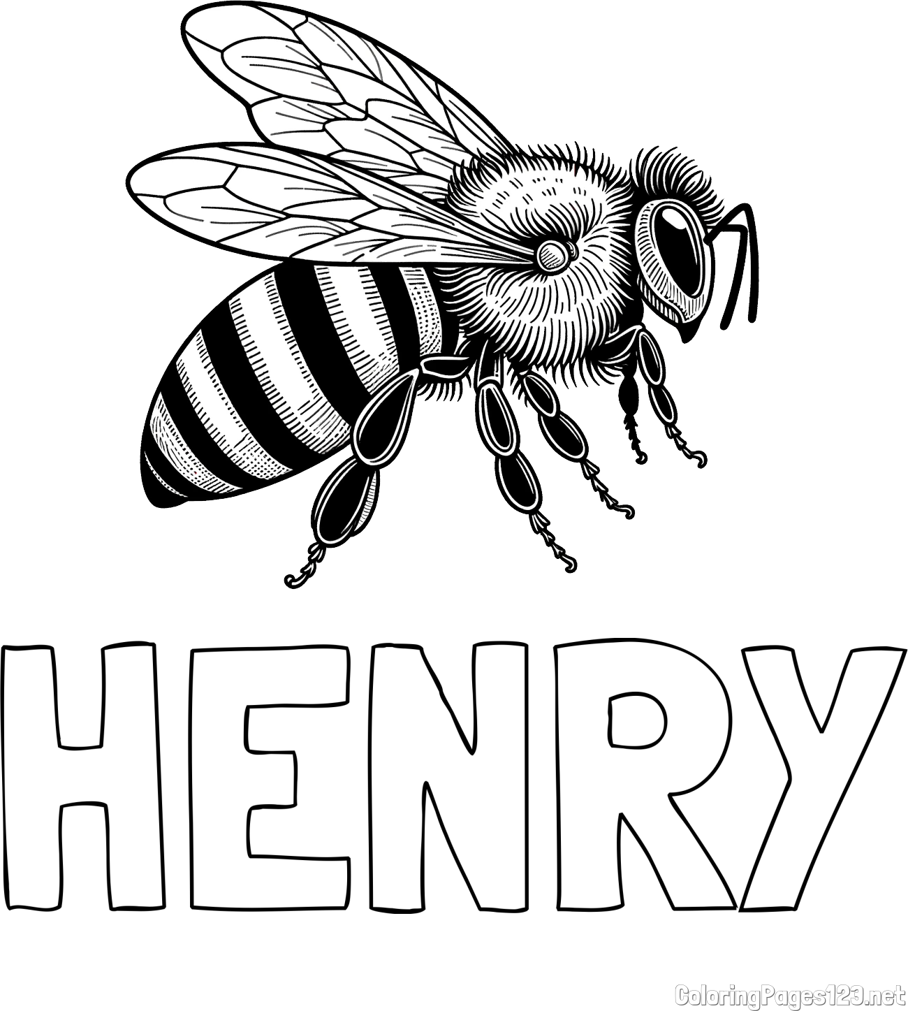 HENRY Coloring Page and Coloring Book of a Realistic Bee