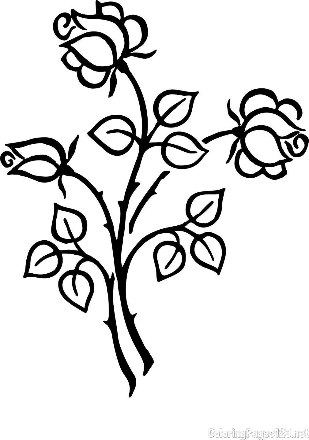 Simple Roses Coloring Page