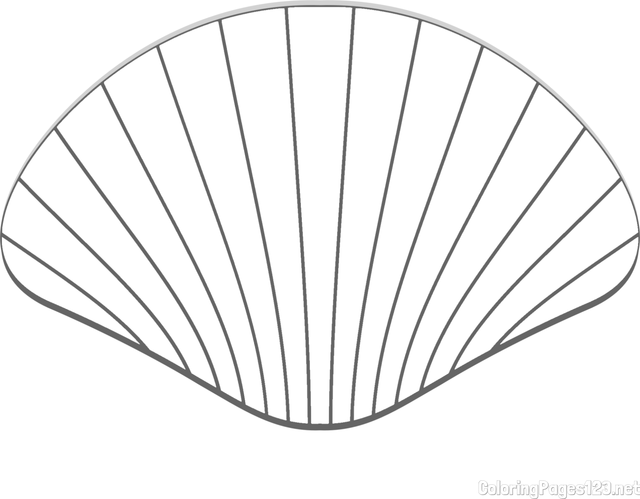 Simple Seashell Coloring Page