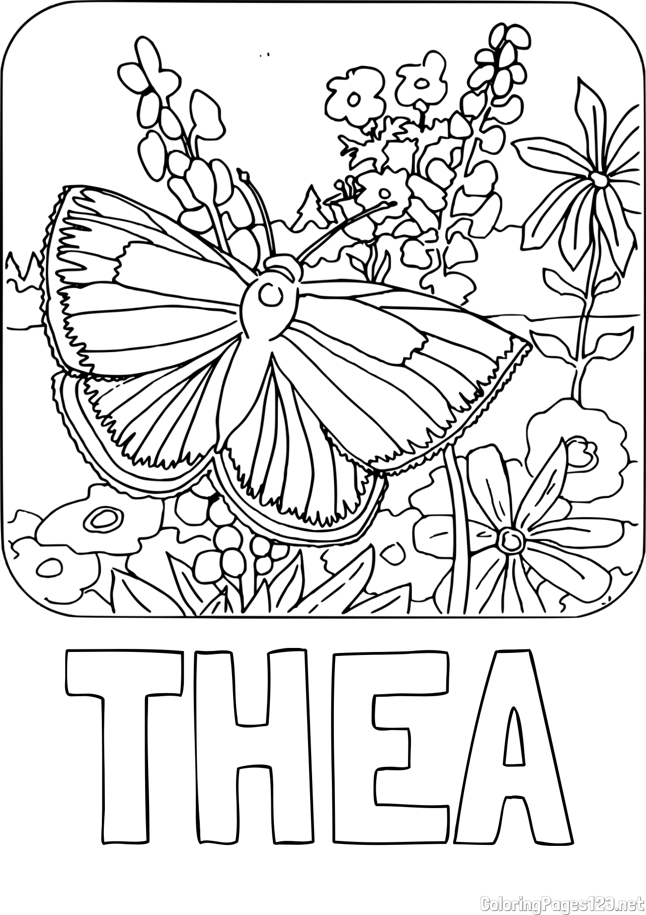 THEA Coloring Page and Butterfly on Flower Coloring Page